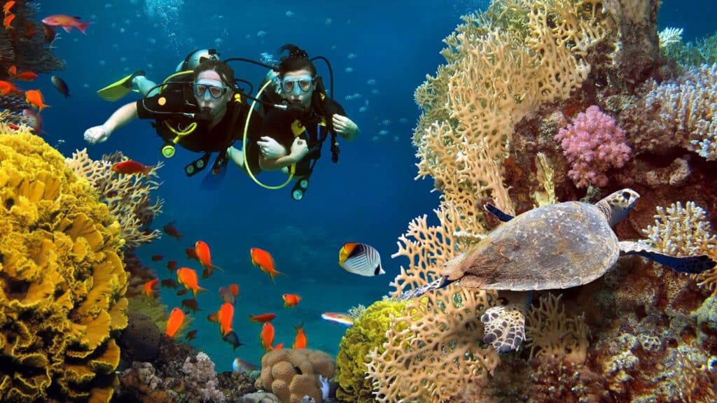 Maldives Charters – Luxury Yacht Charter in Maldives
